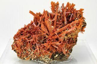 Crocoite For Sale - FossilEra.com