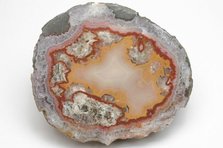 Large, 6.1" Polished Agate Nodule Half - Agouim, Morocco (#207447) For ...