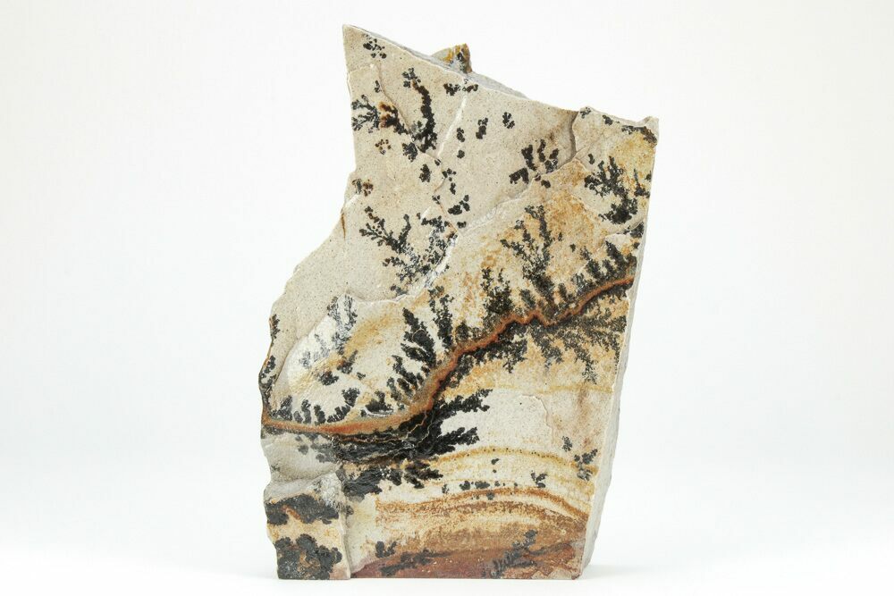 6.35" Dendrites On Limestone - Utah (#207800) For Sale - FossilEra.com