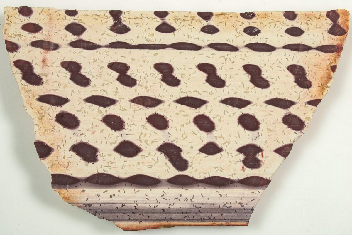 5" Polished Slab Of Zebra Stone (Ediacaran Microbialite?) (#208066) For ...