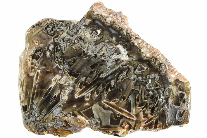 3.9" Polished Turkish Stick Agate Slab - Turkey (#207945) For Sale ...