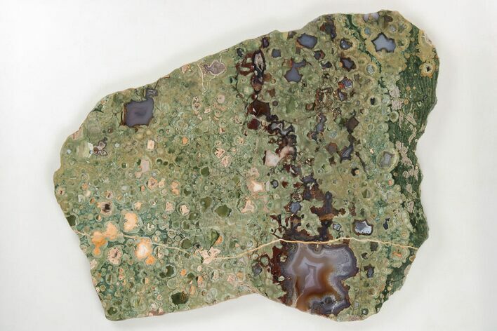 12" Polished Rainforest Jasper (Rhyolite) Slab - Australia (#208131 ...