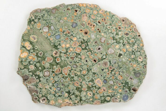 9.8" Polished Rainforest Jasper (Rhyolite) Slab - Australia (#208134 ...