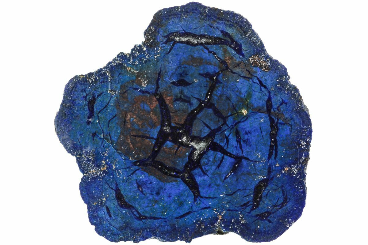 1.4" Vivid Blue, Cut/Polished Azurite Nodule - Siberia (#209471) For ...