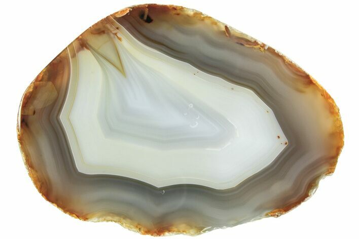 3.5" Polished Black River Agate - Argentina (#209634) For Sale ...