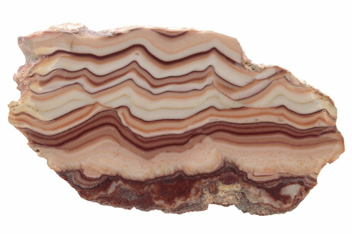 2.9" Polished Slab Of Rolling Hills Dolomite - Mexico (#213681) For ...