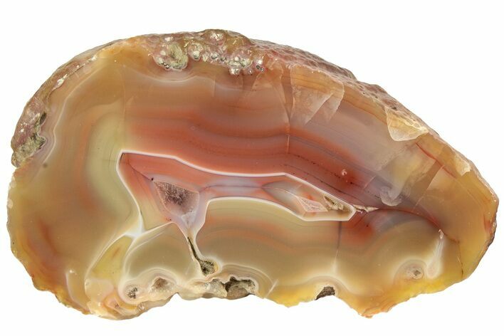 4.5" Colorful, Polished Patagonia Agate - Argentina (#214918) For Sale ...