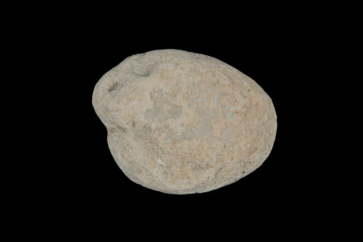 1.05" Cretaceous Fish Coprolite (Fossil Poop) - Kansas (#216477) For ...