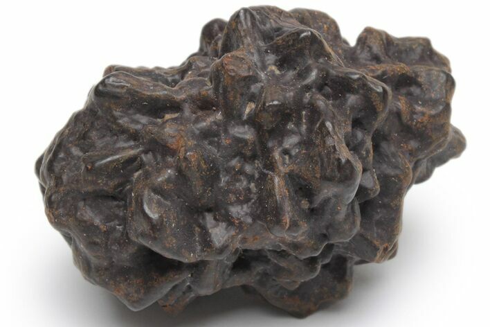 1.55" Goethite (Limonite) Pseudomorph after Pyrite/Marcasite - Egypt ...