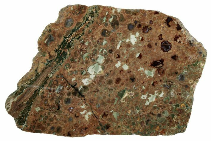 9" Polished Rainforest Jasper (Rhyolite) Slab - Australia (#221939) For ...