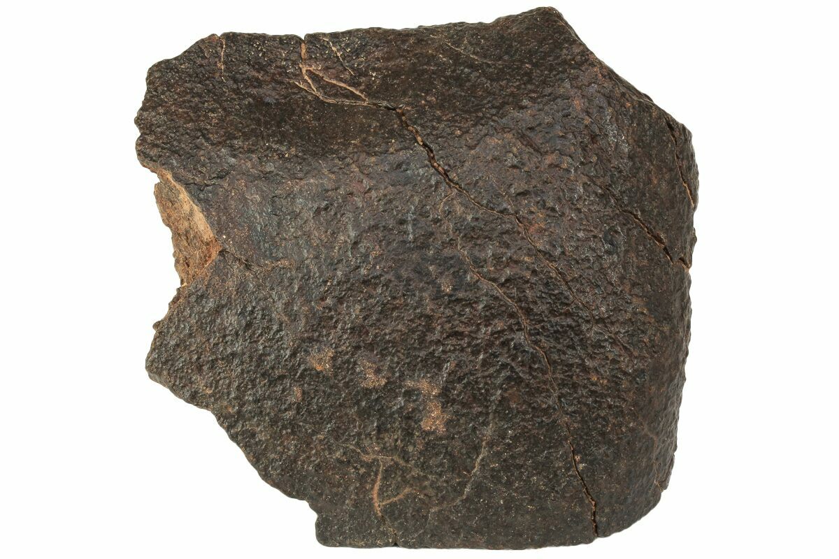 3" Chondrite Meteorite (299 g) - Western Sahara Desert (#222359) For ...