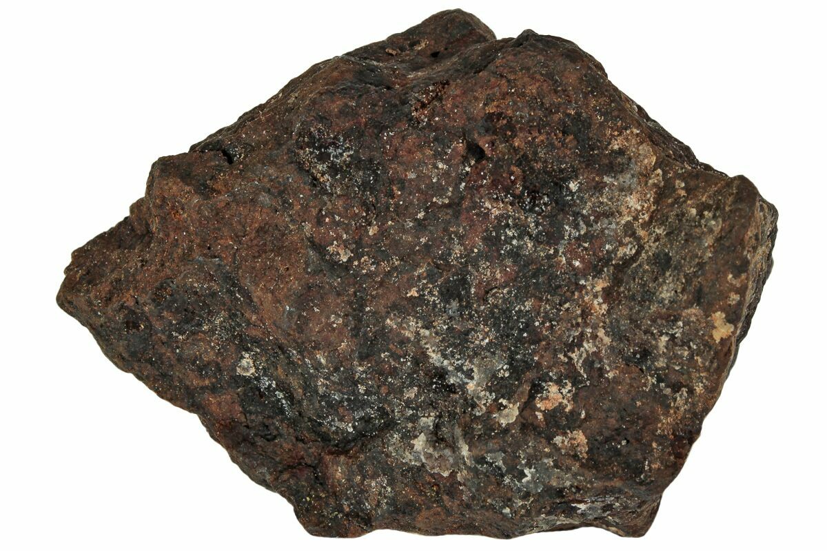 1.7" Chondrite Meteorite (52 g) - Western Sahara Desert (#222591) For ...