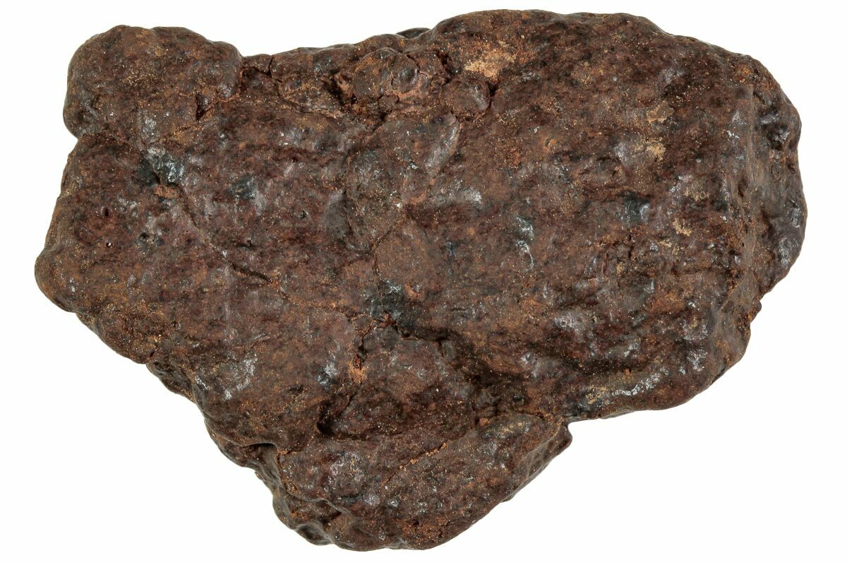 1.25" Chondrite Meteorite (14 g) - Western Sahara Desert (#224483) For ...