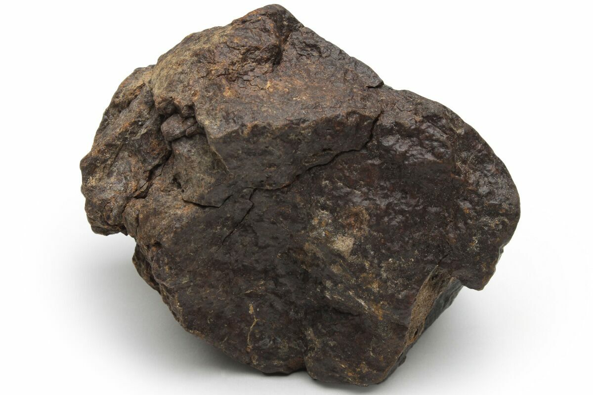 2.9" Chondrite Meteorite (245 g) - Western Sahara Desert (#226972) For ...