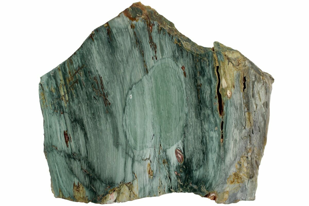 5.7" Gary Green Jasper (Larsonite) Bog Wood Slab - Oregon (#227608) For ...
