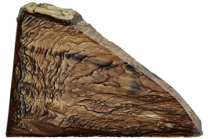 5" Polished Biggs Jasper Slab - Oregon (#227609) For Sale - FossilEra.com