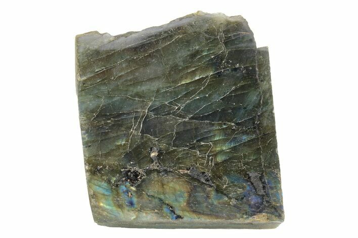 3.1" Single Side Polished Labradorite Section - Madagascar (#230277 ...