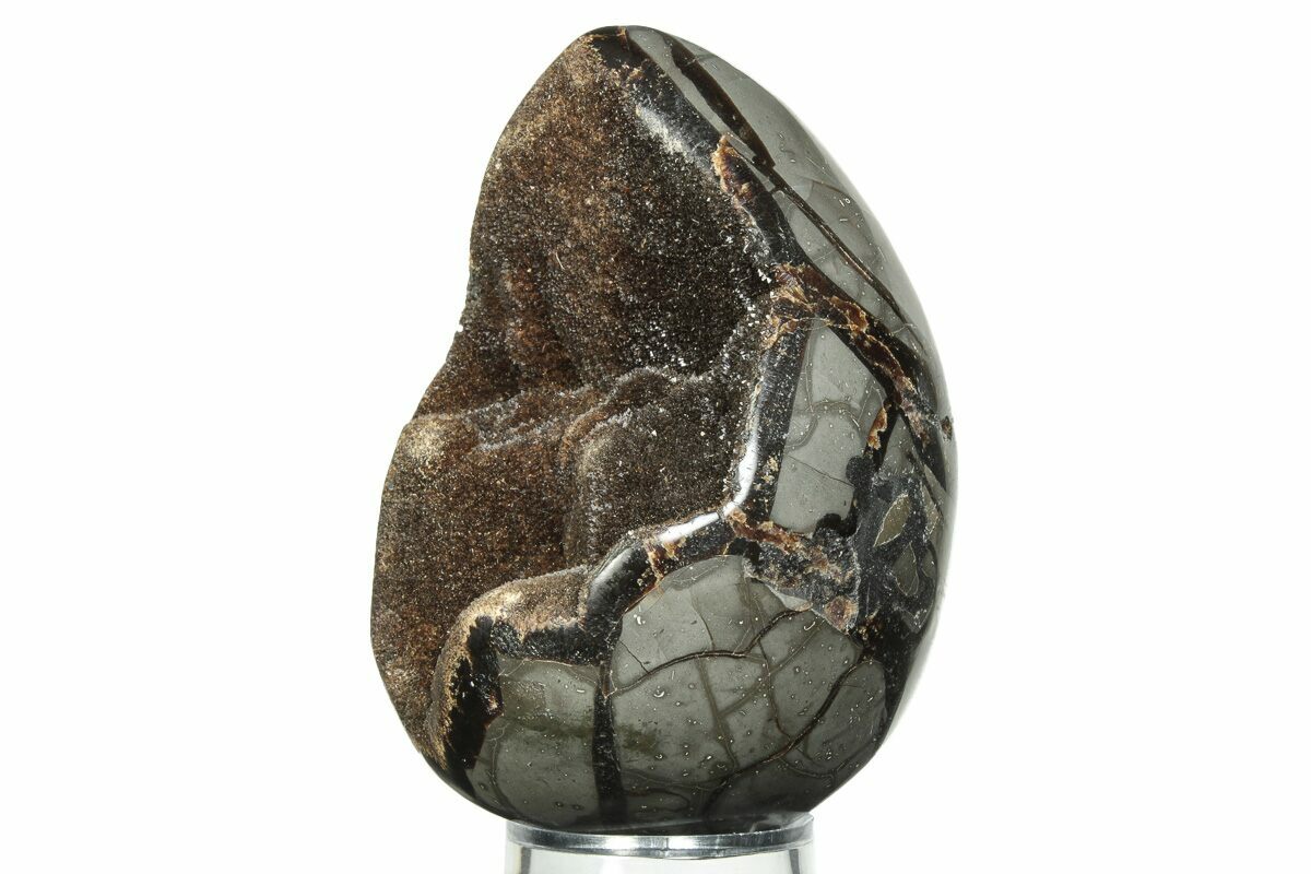 4.7" Septarian "Dragon Egg" Geode - Madagascar (#230366) For Sale ...