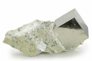 FossilEra - Fossils, Meteorites & Minerals For Sale - FossilEra.com