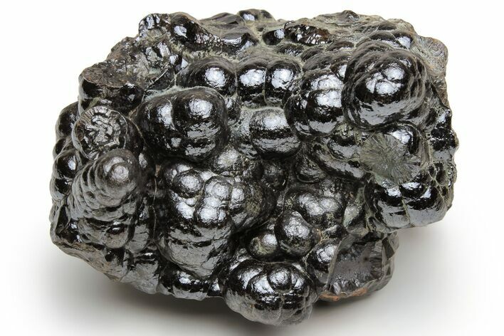 3" Kidney Ore (Botryoidal Hematite) - Morocco (#203989) For Sale ...