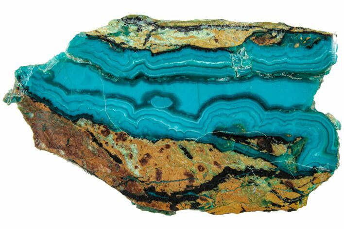 2.1" Polished Banded Chrysocolla - Bagdad Mine, Arizona (#232371) For ...