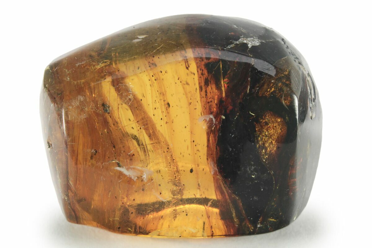 1.3" Polished Chiapas Amber (10.8 g) - Mexico (#232584) For Sale ...