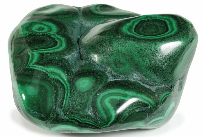 3.5" Vibrant, Polished Malachite Specimen - Congo (#233306) For Sale ...