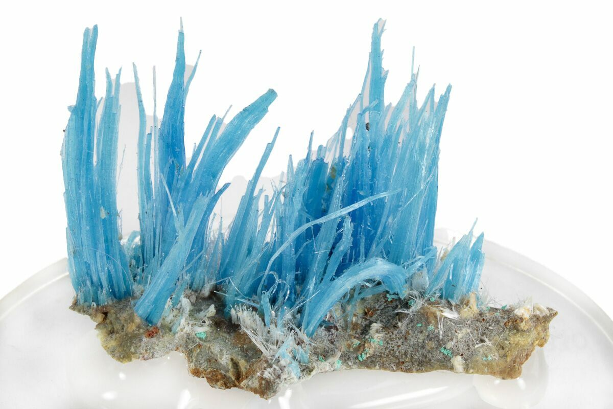 2" Vibrant Blue Chalcanthite - Planet Mine, Arizona (#236830) For Sale ...