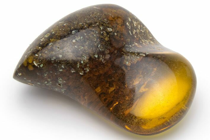 1.5" Polished Chiapas Amber (7.9 g) - Mexico (#237422) For Sale ...