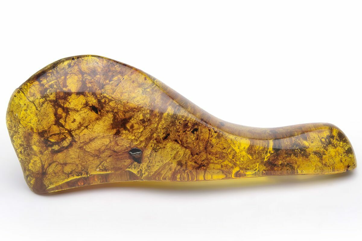 3" Polished Chiapas Amber (11.5 g) - Mexico (#237369) For Sale ...