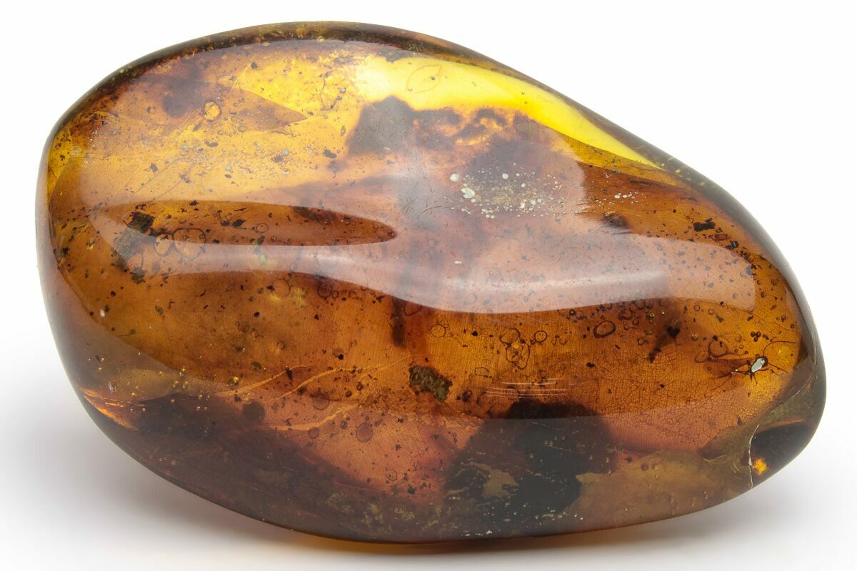 2.2" Polished Chiapas Amber (18.3 g) - Mexico (#237413) For Sale ...