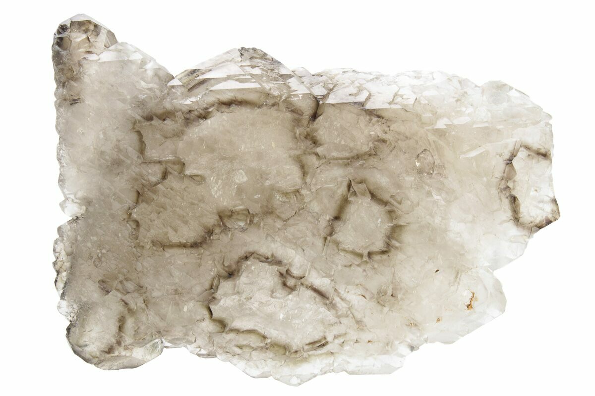 4.3" Lustrous Smoky "Elestial Jacaré" Quartz - Brazil (#238109) For ...
