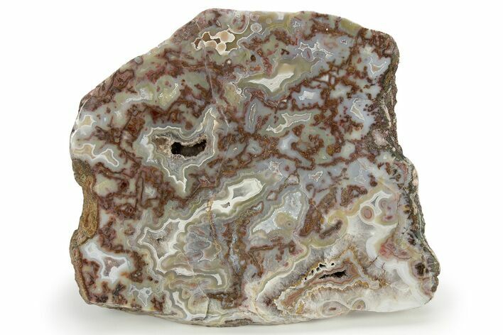 7.9" Polished Berber Agate Section - Sidi Rahal, Morocco (#181044) For ...