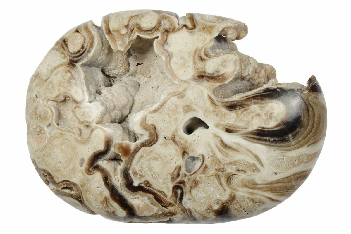 3" Polished Chocolate Calcite Palm Stone - Pakistan (#187887) For Sale ...