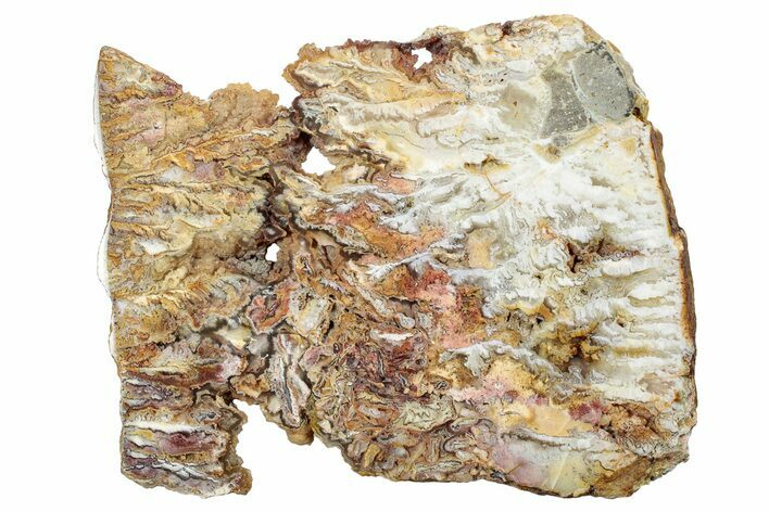 5" Graveyard Point Plume Agate Slab - Oregon (#239921) For Sale ...