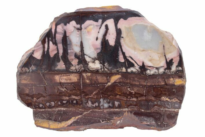 5.8" Polished Outback Jasper - Western Australia (#240022) For Sale ...