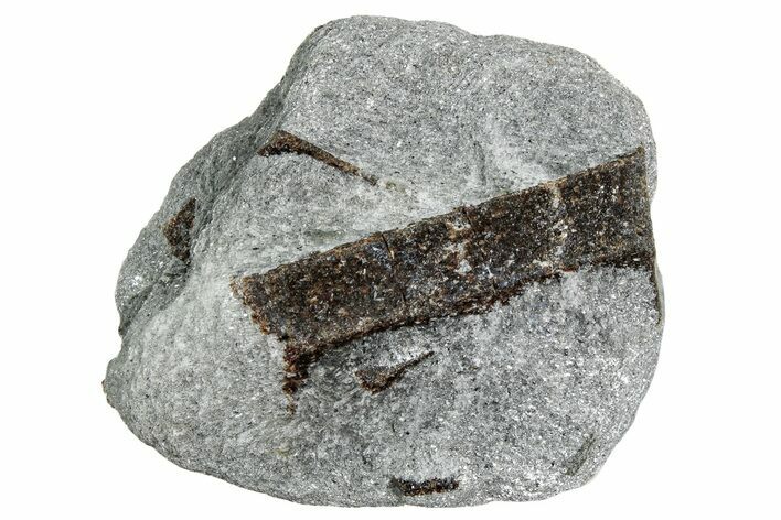 .8" Twinned Staurolite Cross In Mica-Schist - Pestsovye Keivy, Russia ...