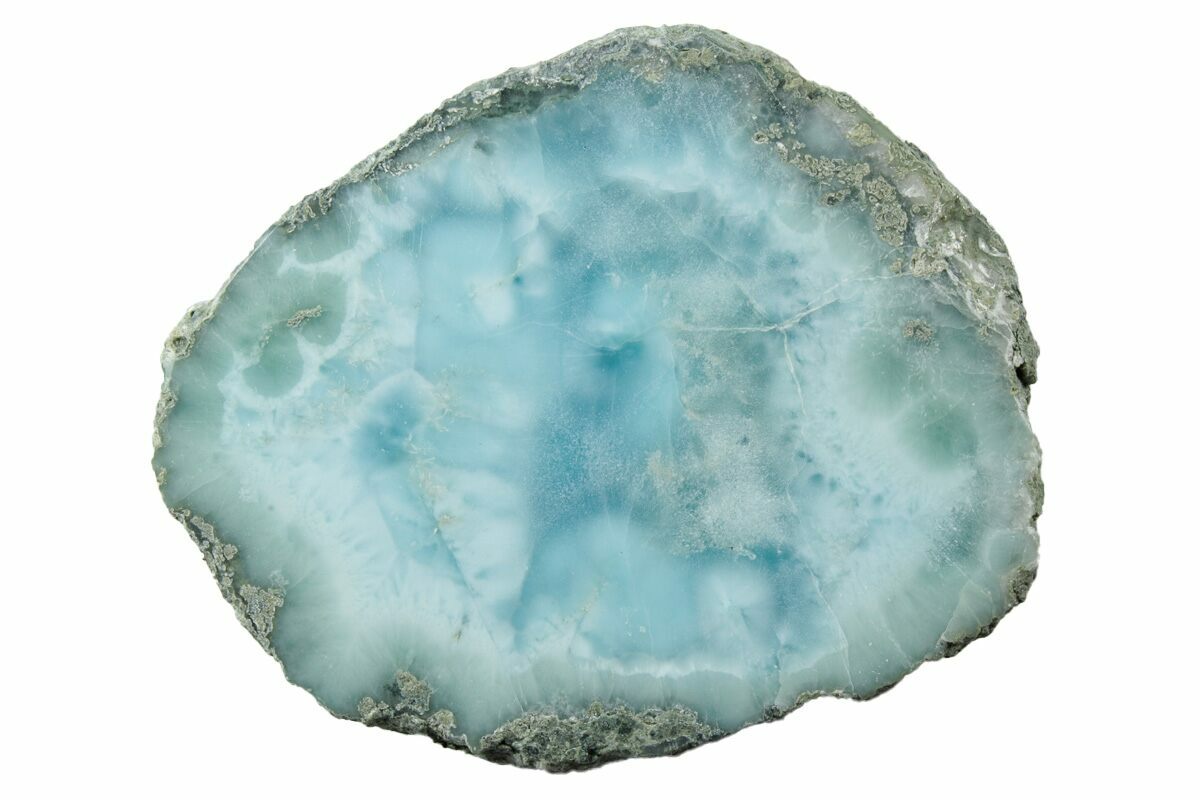 2.5" Slice Of Larimar Replaced Wood Limb Cast (#243249) For Sale ...