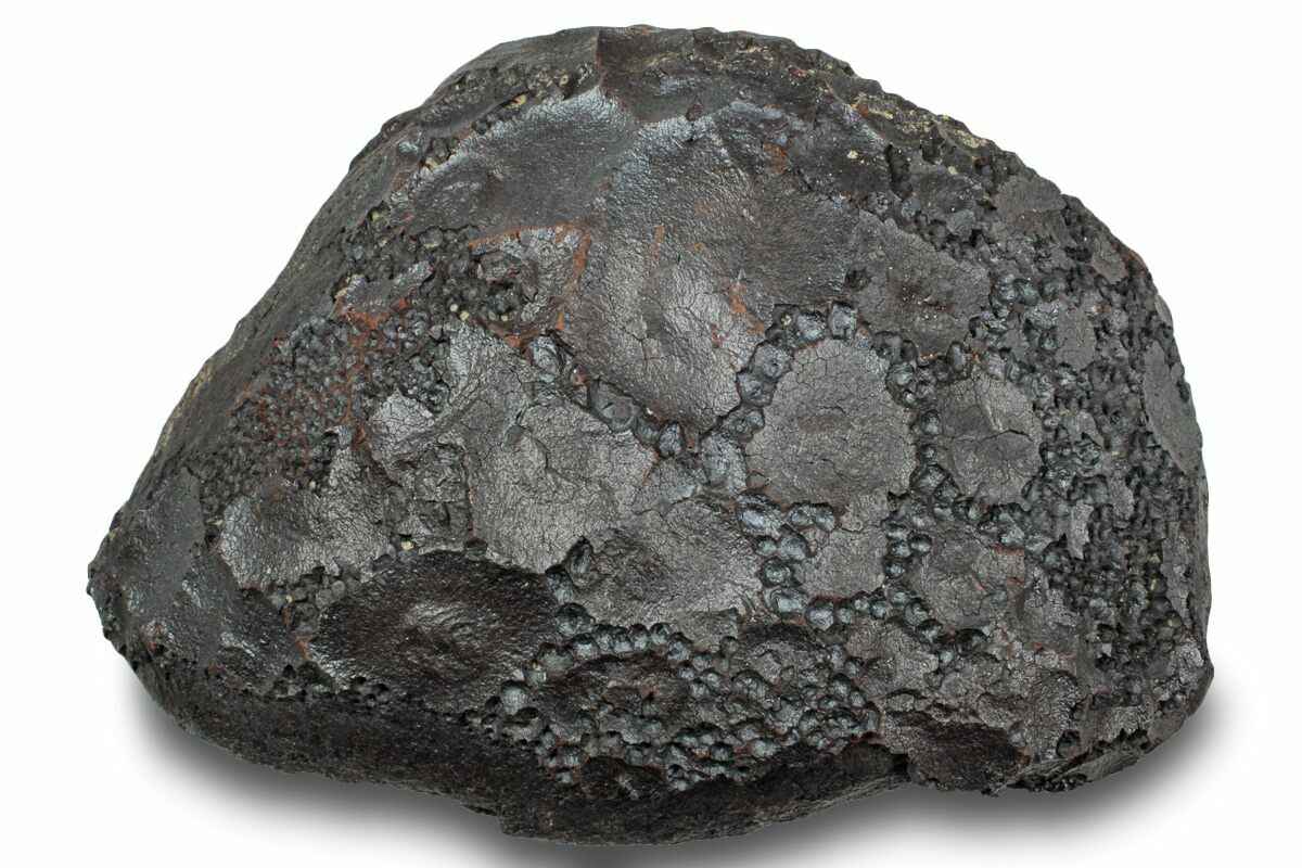 5.7" Dragon Scale Stone (Iron, Manganese, Siderite Nodule) (#244980 ...