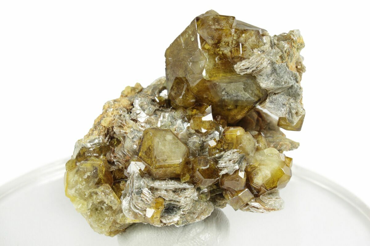 1.8" Yellow Andradite-Grossular Garnet Cluster with Clinochlore - Mali ...