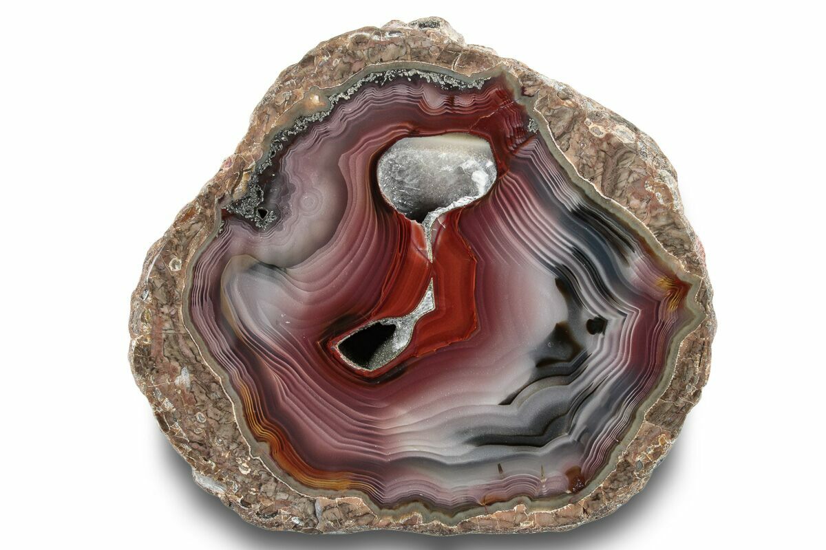 2.7" Polished Baker Ranch Thunderegg (Half) - New Mexico (#245251) For ...