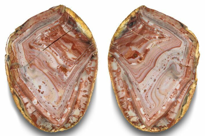 2.6" Polished, Banded Bahia Agate Nodule Pair - Brazil (#246258) For ...