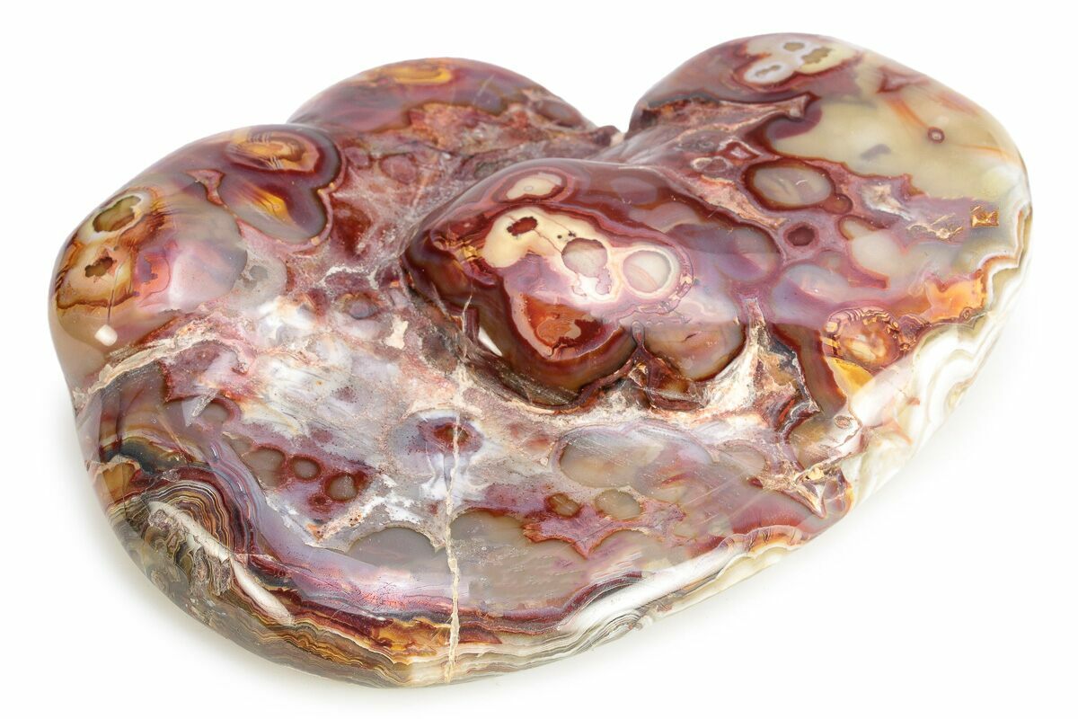 4.9" Polished Crazy Lace Agate - Mexico (#246315) For Sale - FossilEra.com