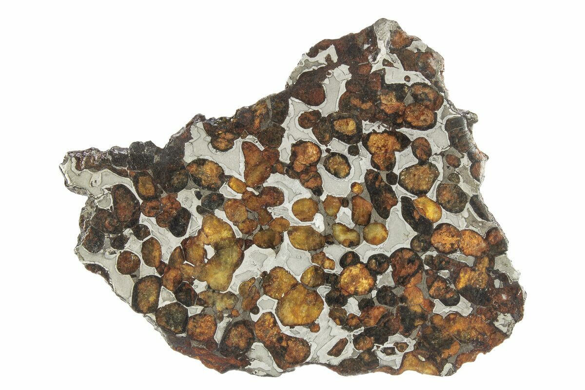 4.1" Polished Sericho Pallasite Meteorite (77.9 g) Slice - Kenya ...