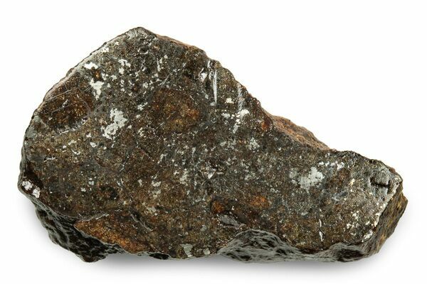 Meteorites For Sale - FossilEra.com