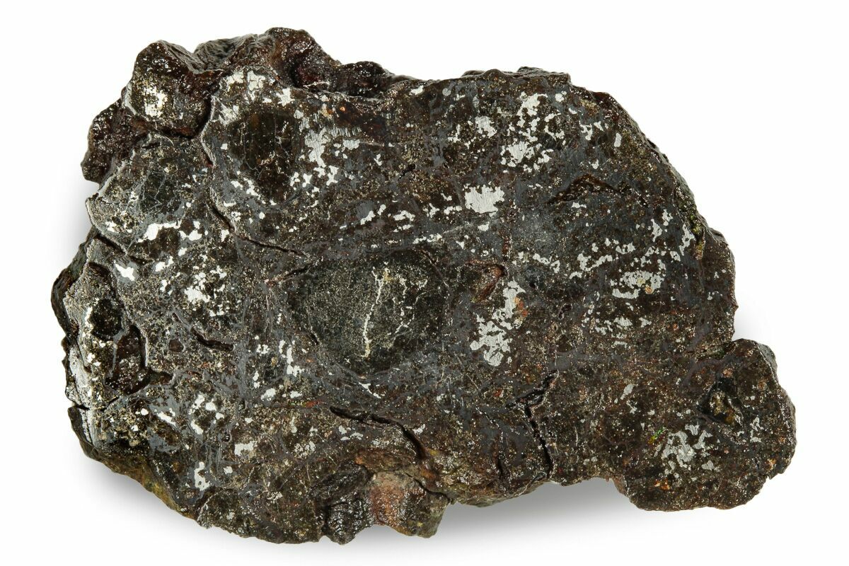 1.5" Polished Vaca Muerta Mesosiderite Meteorite (19.7 g) - Chile ...