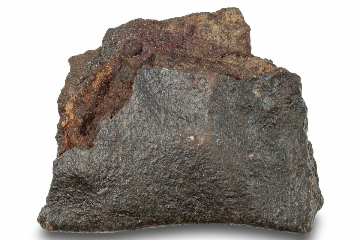 3" Chondrite Meteorite (233 g) - Western Sahara Desert (#247560) For ...