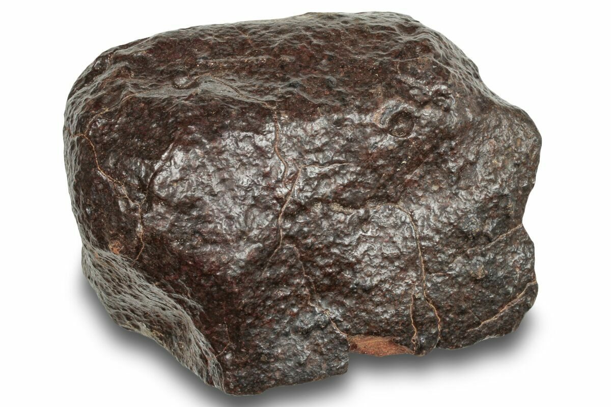 3" Chondrite Meteorite (385 g) - Western Sahara Desert (#247562) For ...