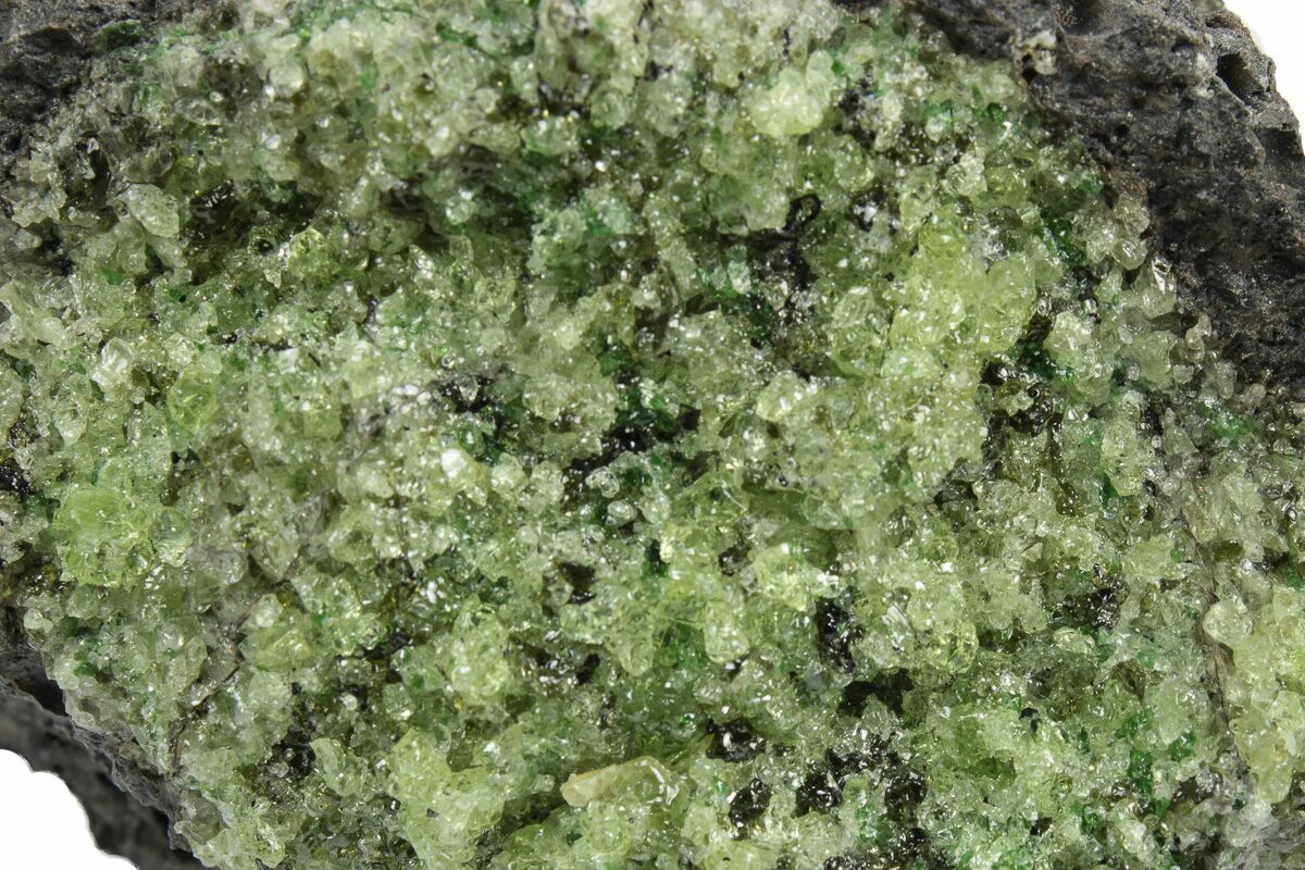 4.3" Peridot in Basalt - Arizona (#247742) For Sale - FossilEra.com