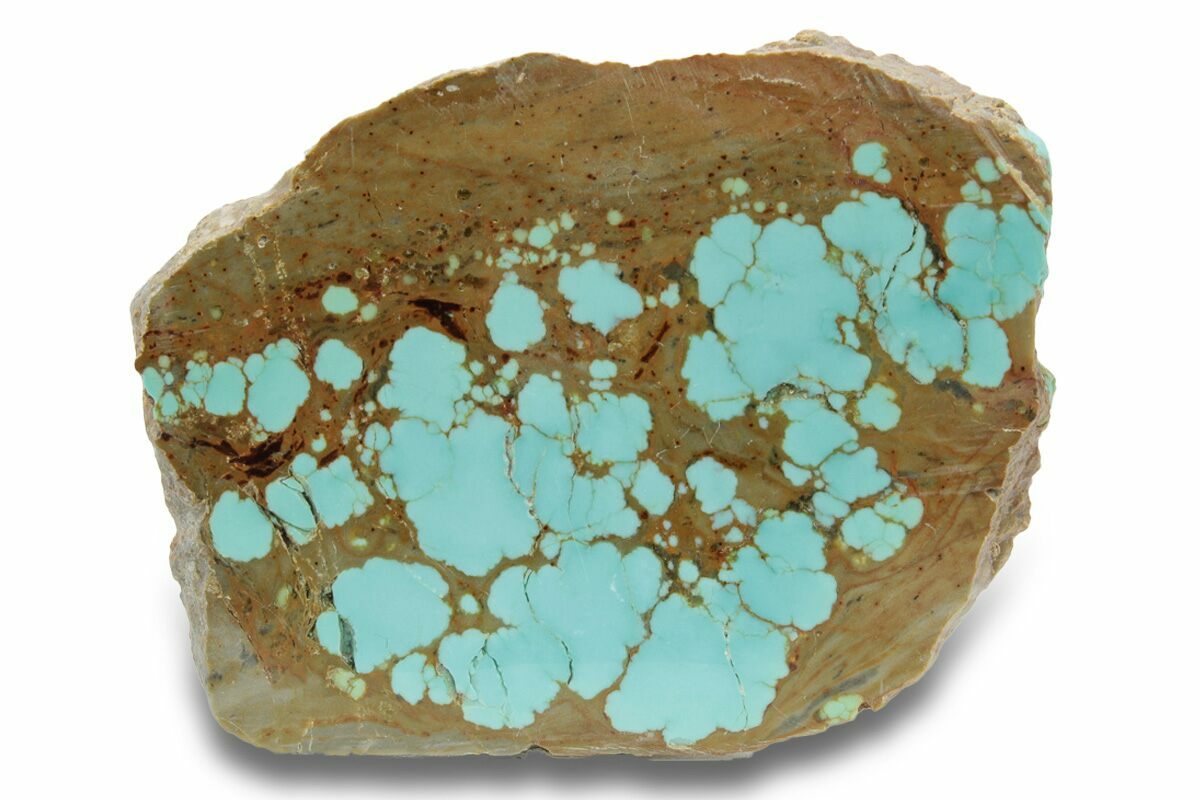 2.55" Polished Turquoise Slab - Number 8 Mine, Carlin, NV (#248336) For ...